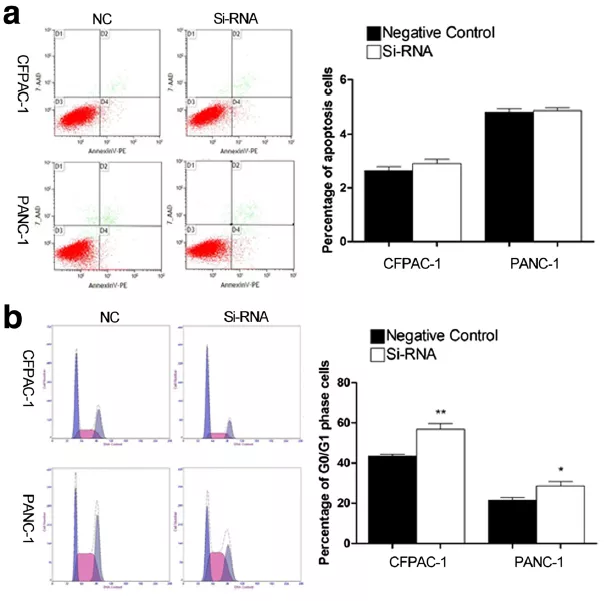 RNA 的提取技巧和注意事项