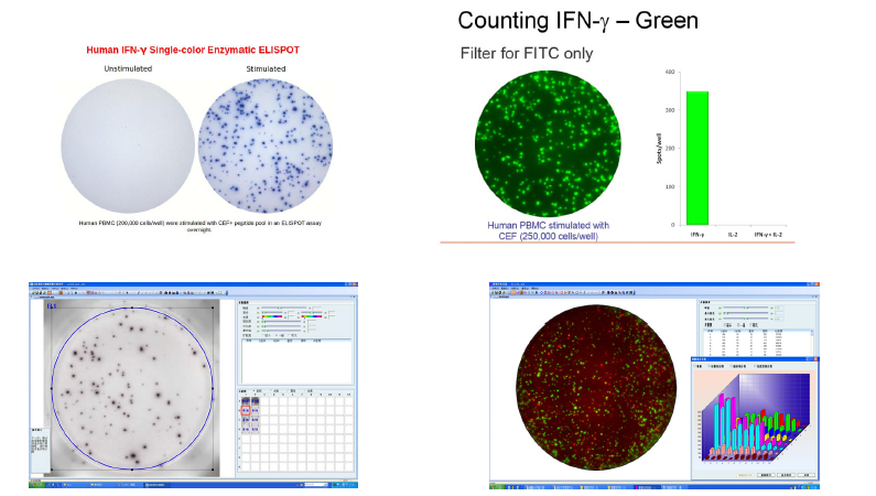 蛋白水平|多因子检测(MSD、CBA、Luminex、Antibody Array)-LabEx官网