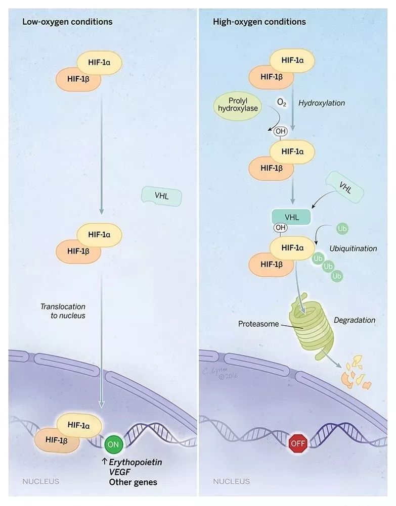 通路科研利器花落谁家-优宁维