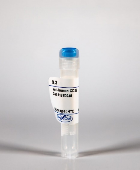 BioXcell特色产品推荐之：InVivoMAb anti-human CD28