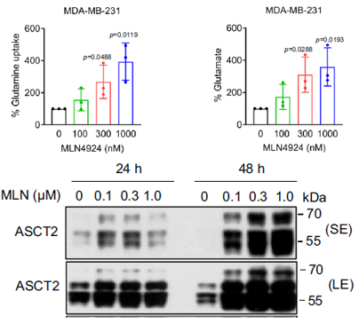 泛素化在癌症研究中的研究思路-上海优宁维生物科技股份有限公司