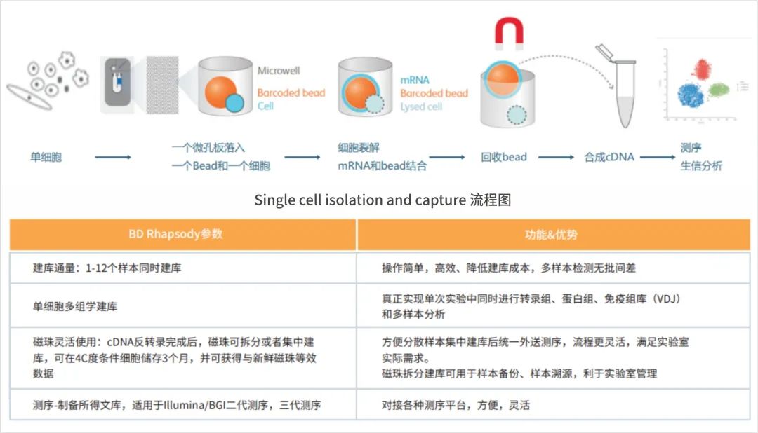 新型单细胞 mRNA 和蛋白质表达谱可识别 MDS 患者骨髓中不同的 Treg 和 T 效应子特征