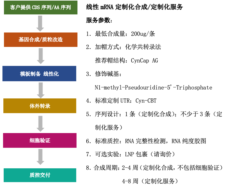 使用脂质封装的编码长效IL-2突变蛋白的mRNA可选择性激活和扩增调节性T细胞