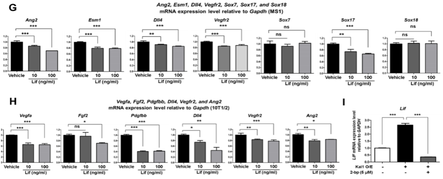 Advanced Science|皮肤类器官治疗局限性硬皮样病