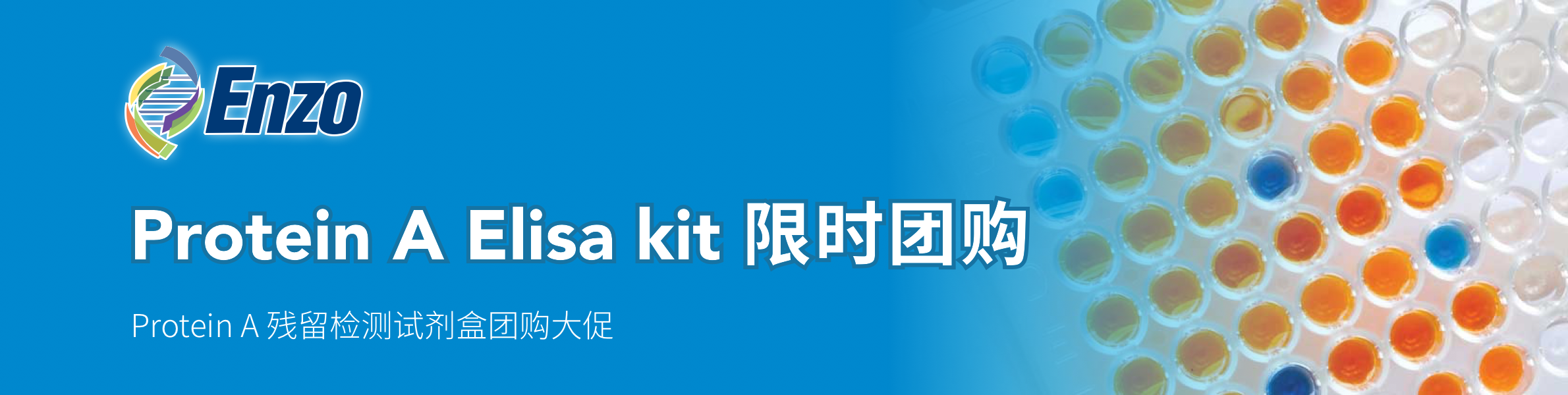 Protein A试剂盒团购大促