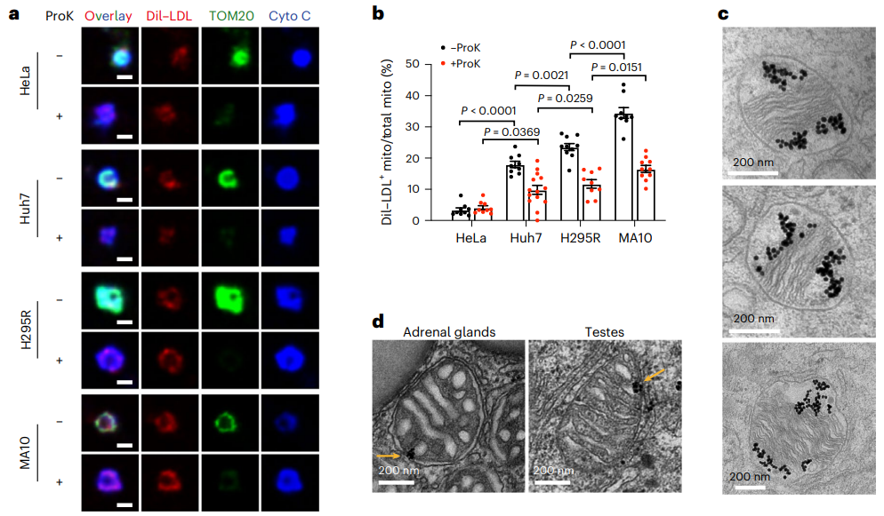 产品专题——低密度脂蛋白及其应用