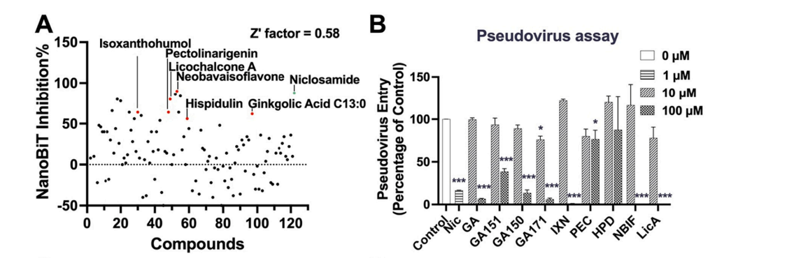 聚凝胺（Polybrene），基因转染增强剂-上海优宁维生物科技股份有限公司