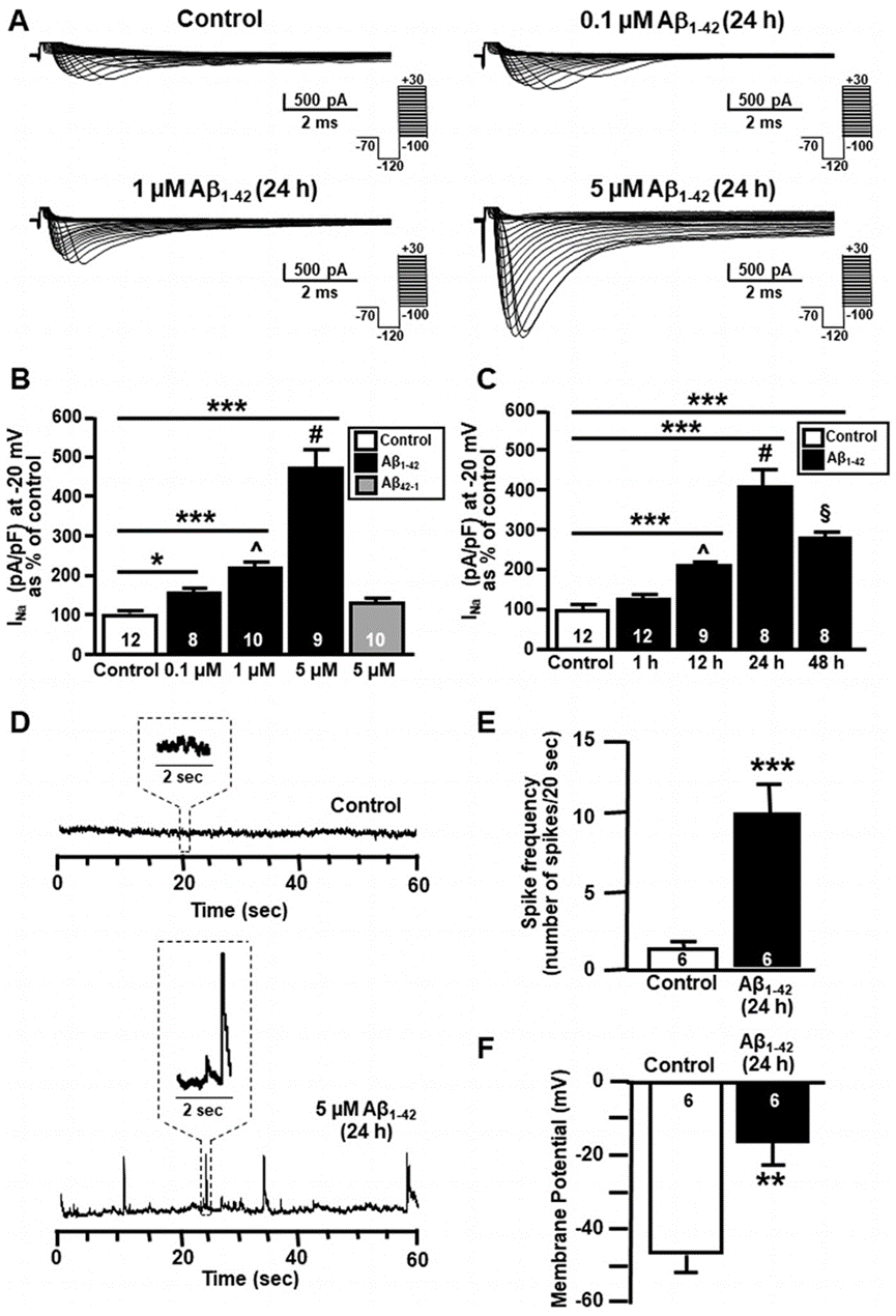 文献速递：NaV1.6通道或成为阿尔茨海默病治疗新靶点