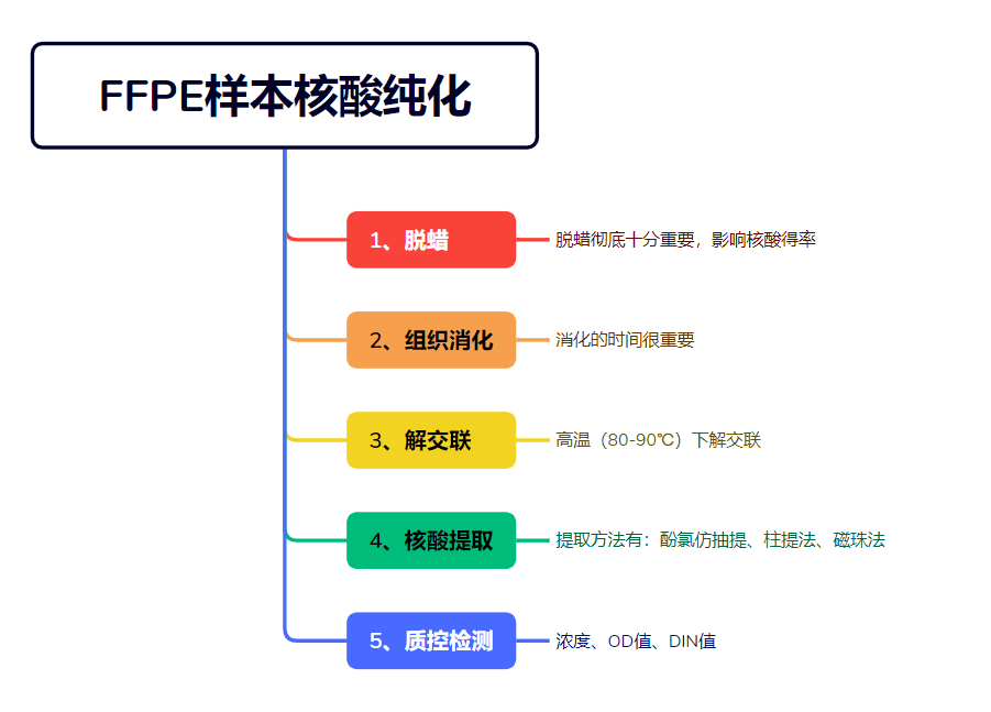 FFEP样本核酸提取