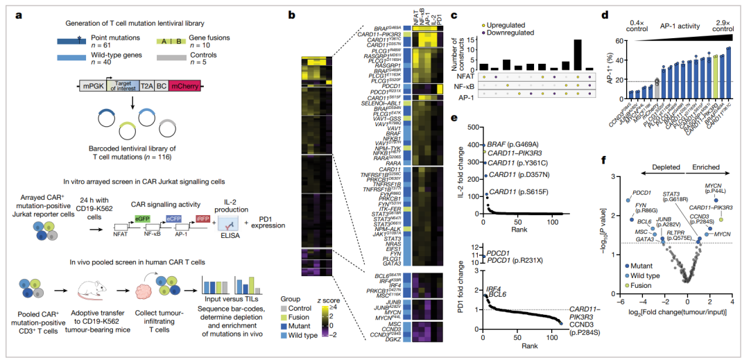 盘点T细胞在肿瘤领域的最新进展-优宁维