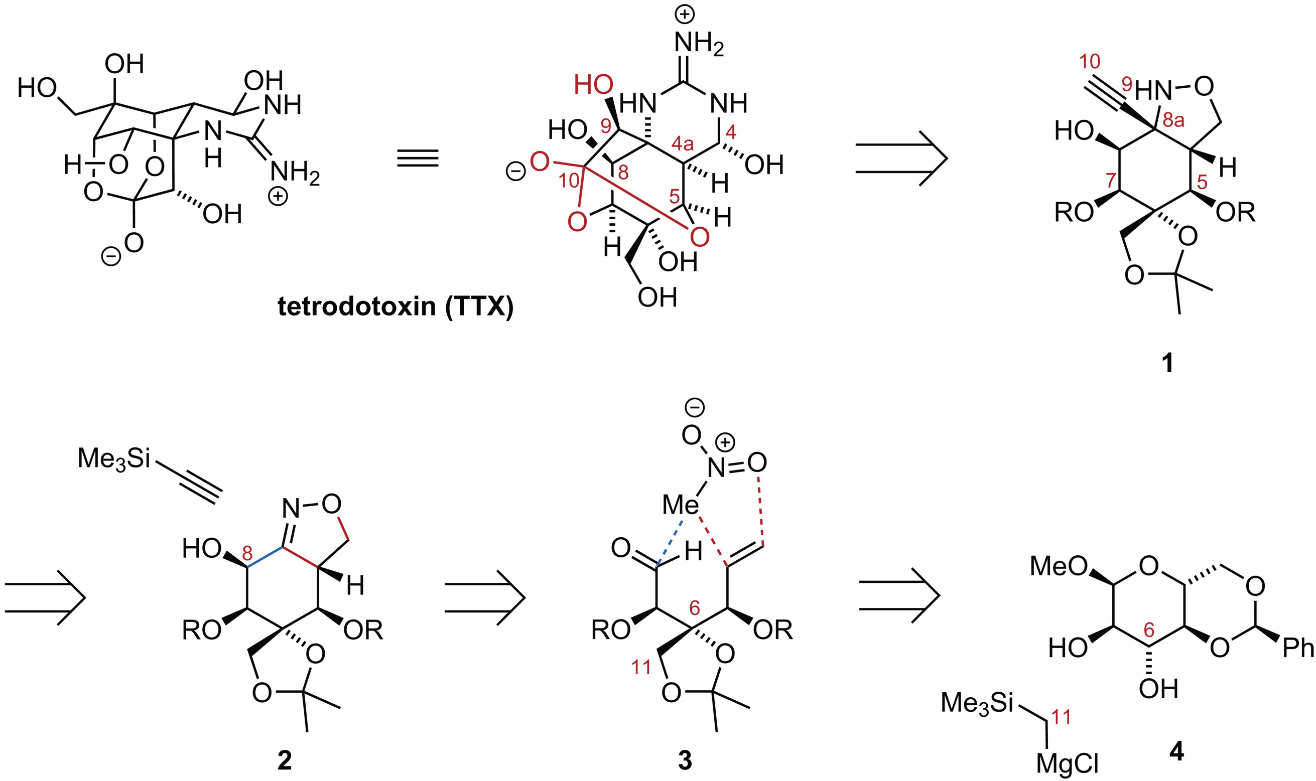 河豚毒素(TTX)的简易合成方法解析
