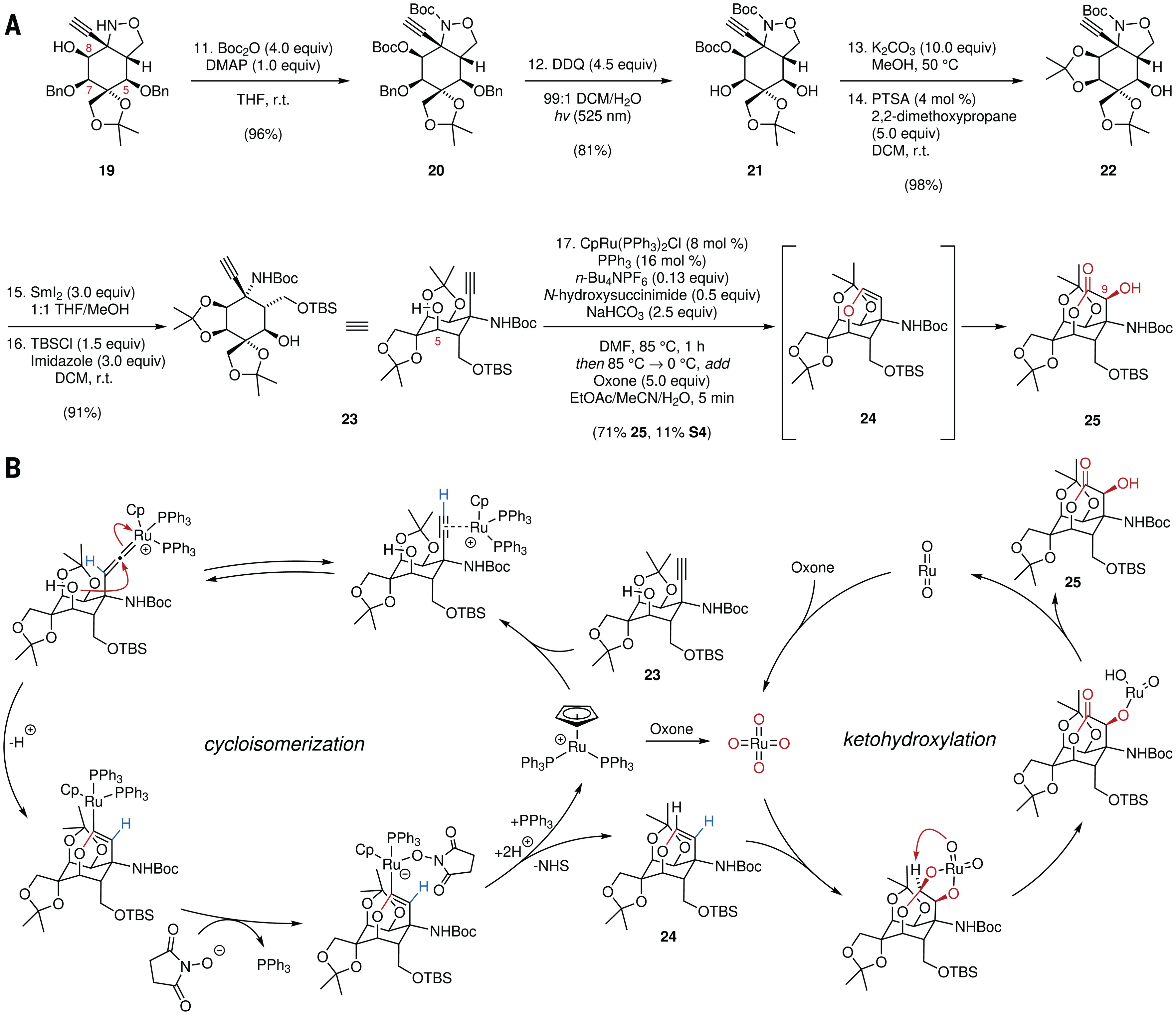 河豚毒素(TTX)的简易合成方法解析-上海优宁维生物科技股份有限公司