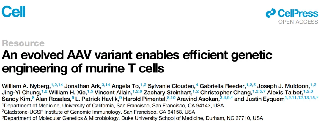 【优宁维商城】An evolved AAV variant enables efficient genetic engineering of ...