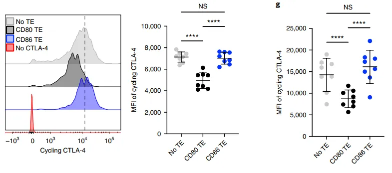 CTLA-4与CD80及CD86结合的非等价性-上海优宁维生物科技股份有限公司