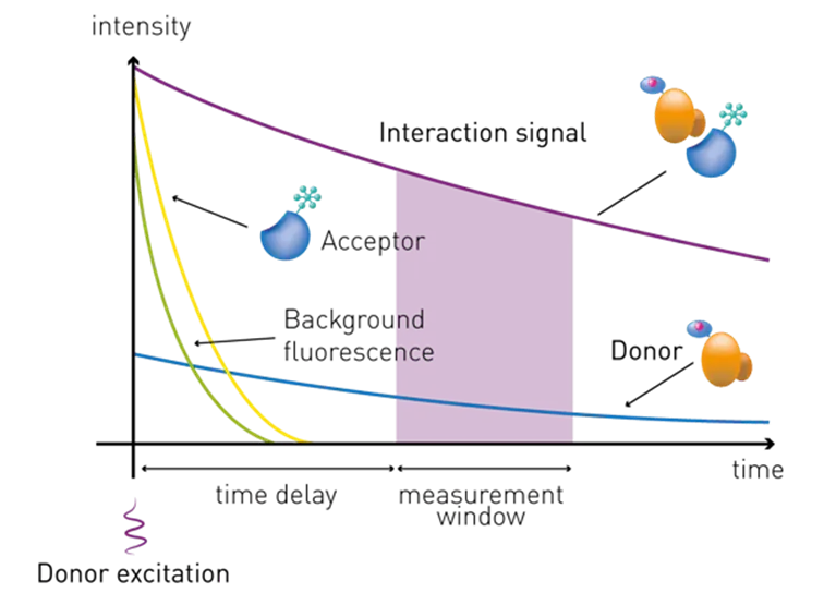 TR-FRET实验全解析：原理、应用与优势