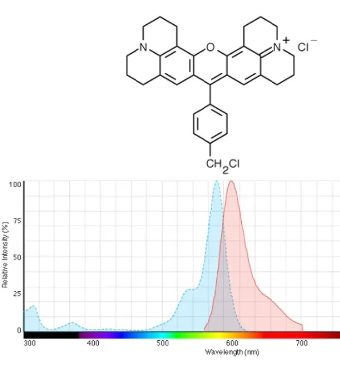线粒体荧光标记染料的选用与应用