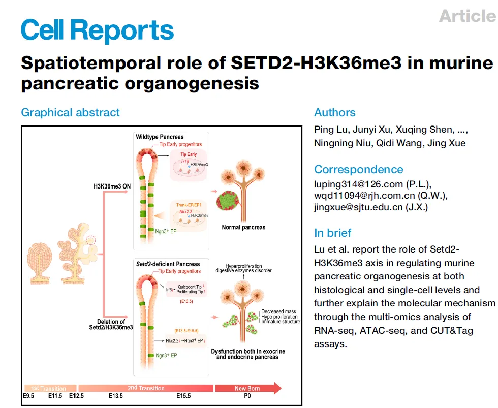 文献解析|联合CUT&Tag与ATAC-seq技术：深入探索表观遗传学