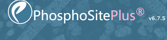 PhosphoSitePlus：探索蛋白翻译后修饰的综合性数据库