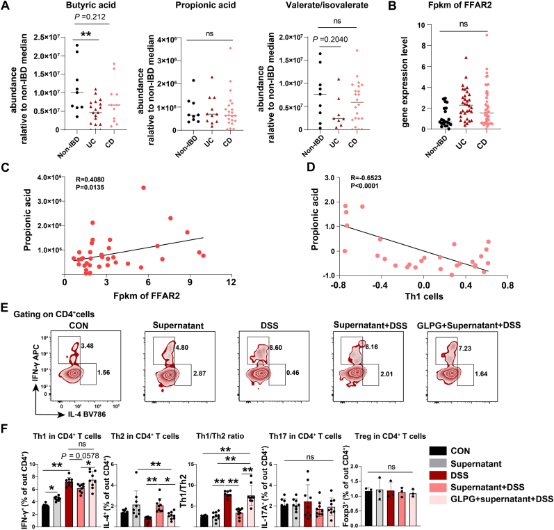 文献解析|EGCG调控肠道微生物重塑诱导上皮GPR43激活以减轻结肠炎中Th1极化的机制探究