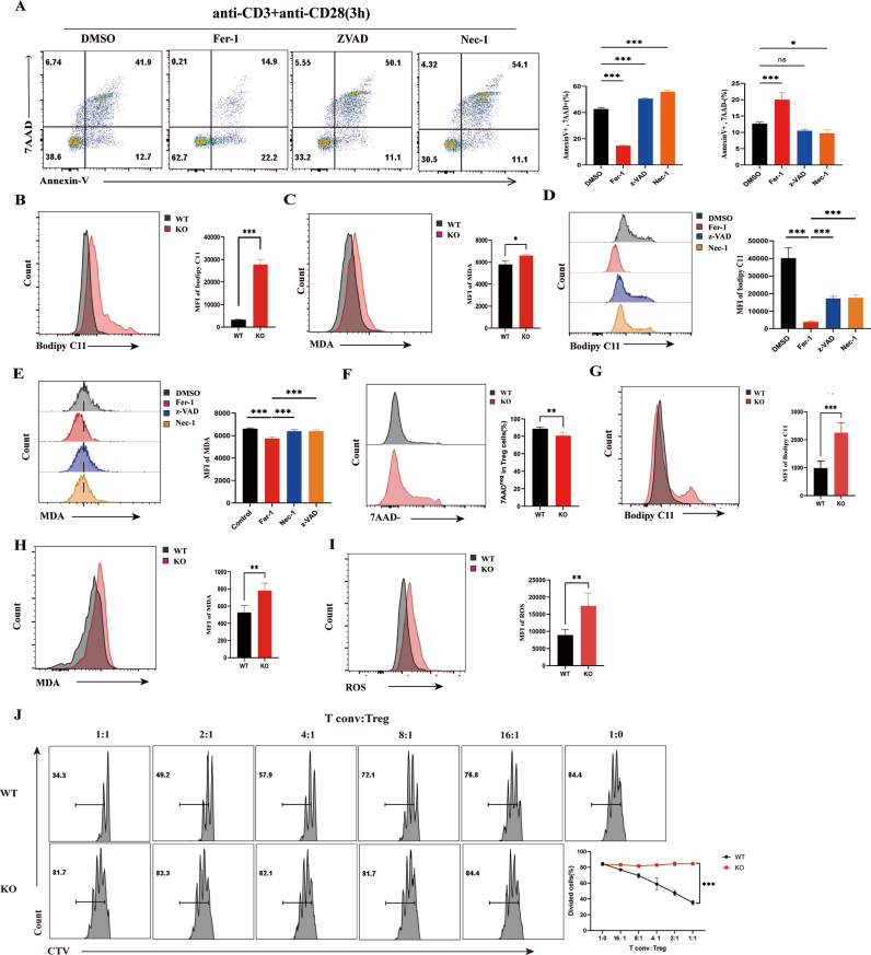 文献解析|维生素E与GPX4协同保护Treg细胞免受铁死亡侵害，缓解坏死性小肠结肠炎的肠道炎症损伤-上海优宁维生物科技股份有限公司