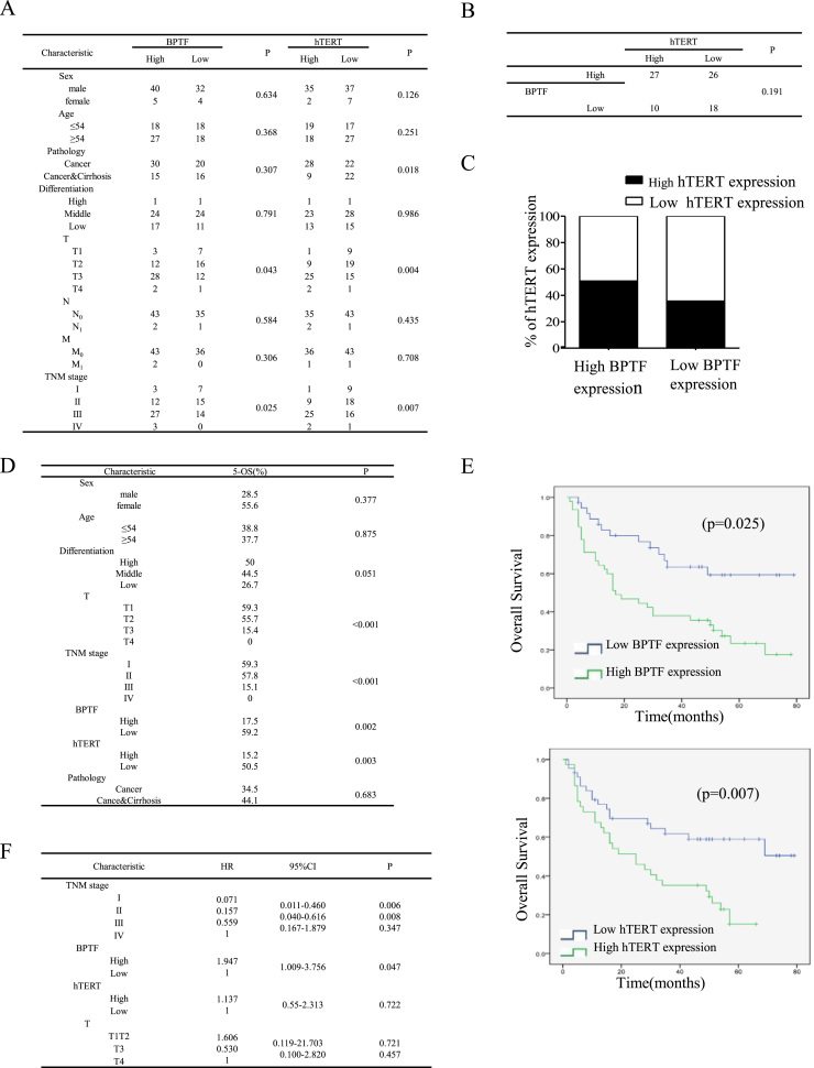 文献解析|BPTF通过调控hTERT信号通路和癌干细胞特性促进肝细胞癌增长