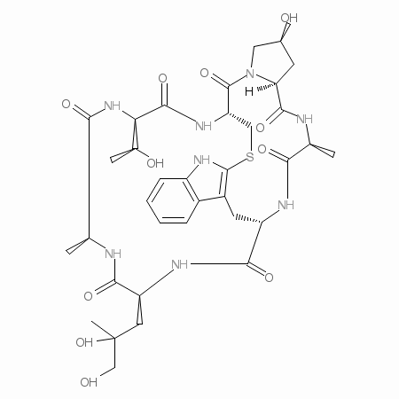 Phalloidin：揭示细胞骨架微丝动态的秘密武器