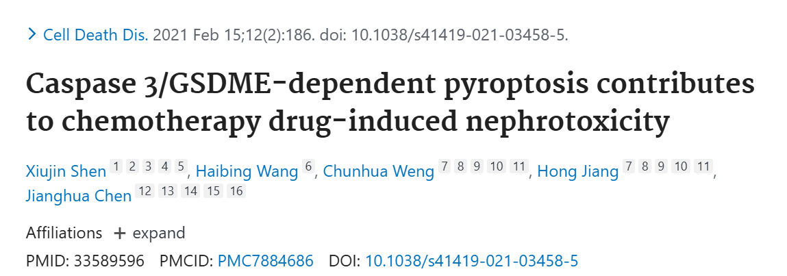 文献解析|Caspase 3/GSDME依赖的焦亡在化疗药物诱导的肾毒性中的作用