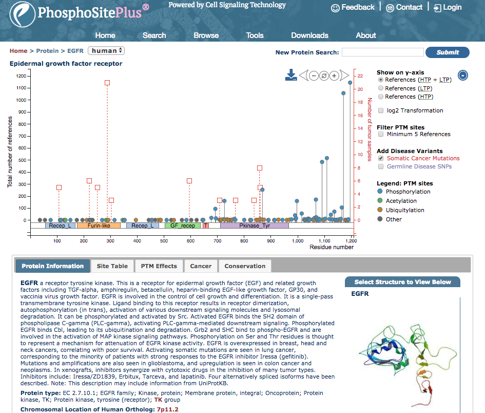 PhosphoSitePlus：PTM 数据库与相关产品信息概览