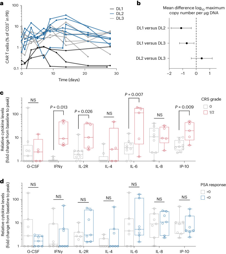 文献解析|PSCA-CAR T细胞疗法在转移性去势抵抗性前列腺癌中的突破性进展：Ⅰ期临床试验解析