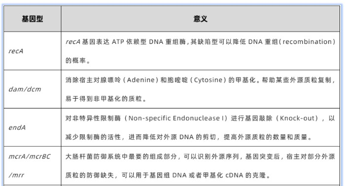 高效化学感受态细胞的制备流程解析