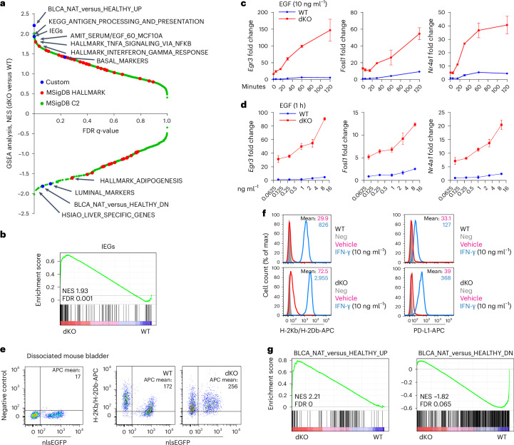 文献解析|表观遗传调控失衡与尿路上皮癌变机制解析