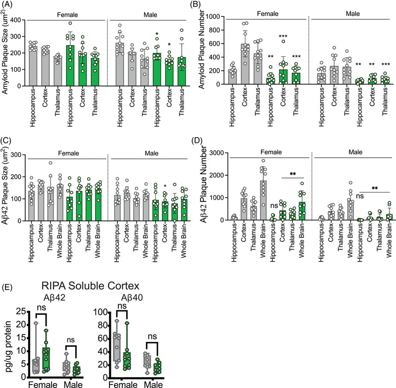 文献解析|沉默Apoe：二价siRNA在阿尔茨海默病治疗中的突破性进展与免疫调控机制解析