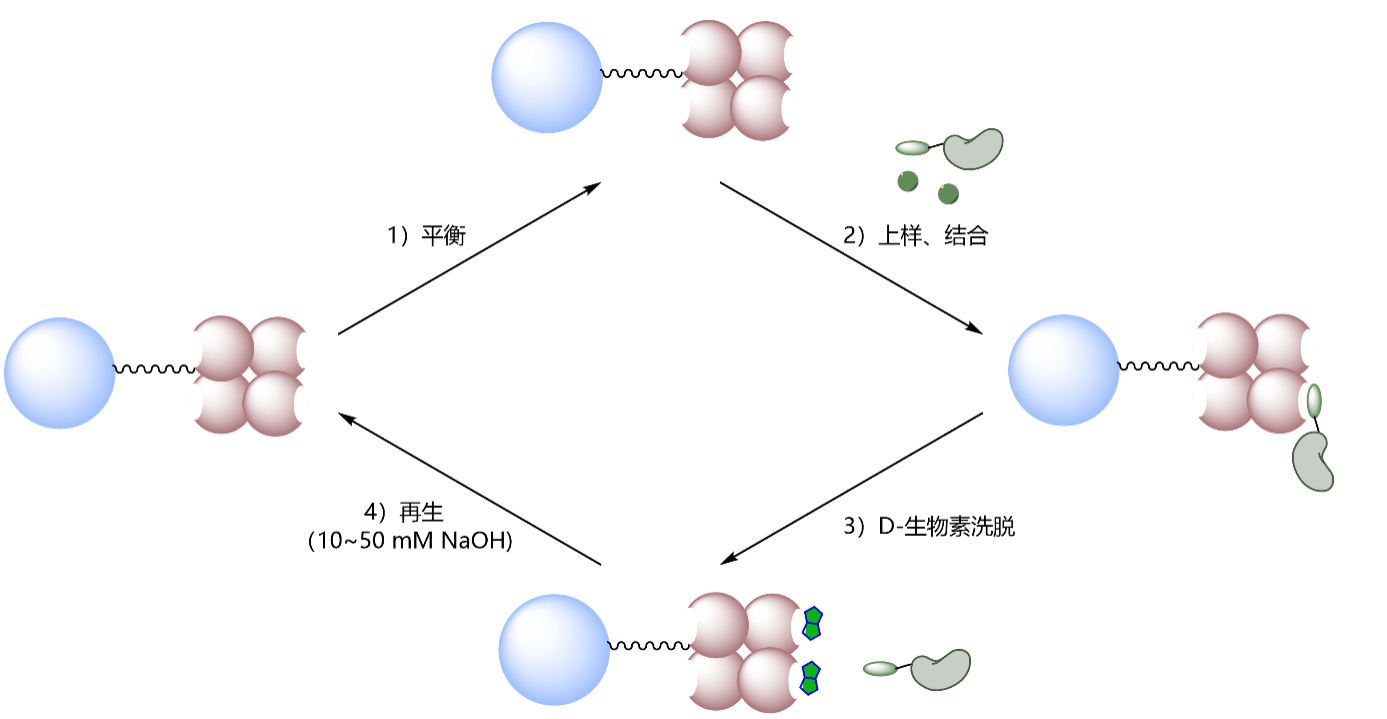 蛋白纯化系列解决方案