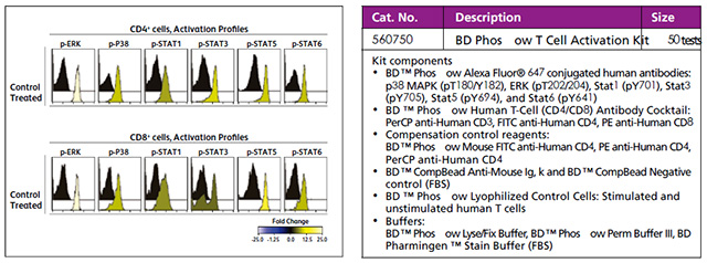 BD Phosflow T细胞激活工具(Human人)