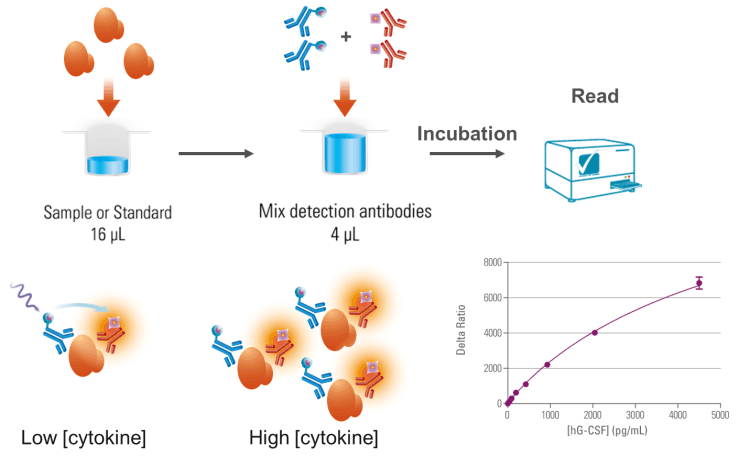 开学季，Cisbio 细胞因子检测试剂盒促销~