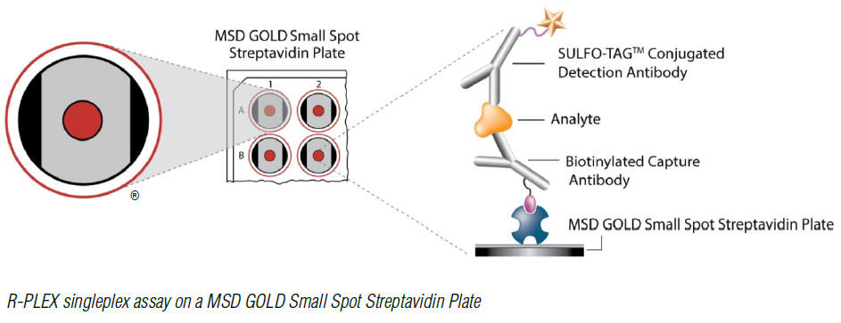 MSD在基础免疫学中的应用