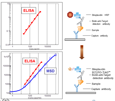MSD在基础免疫学中的应用